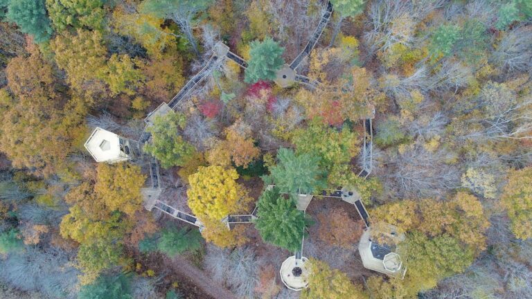 10 Perfect Things to Do in Woodstock VT in the Fall