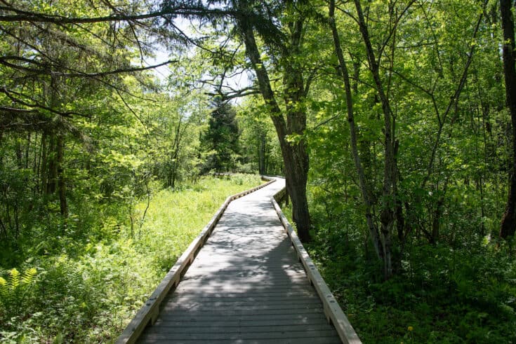 Take an Easy Walk on the Robert Frost Trail in Ripton, Vermont