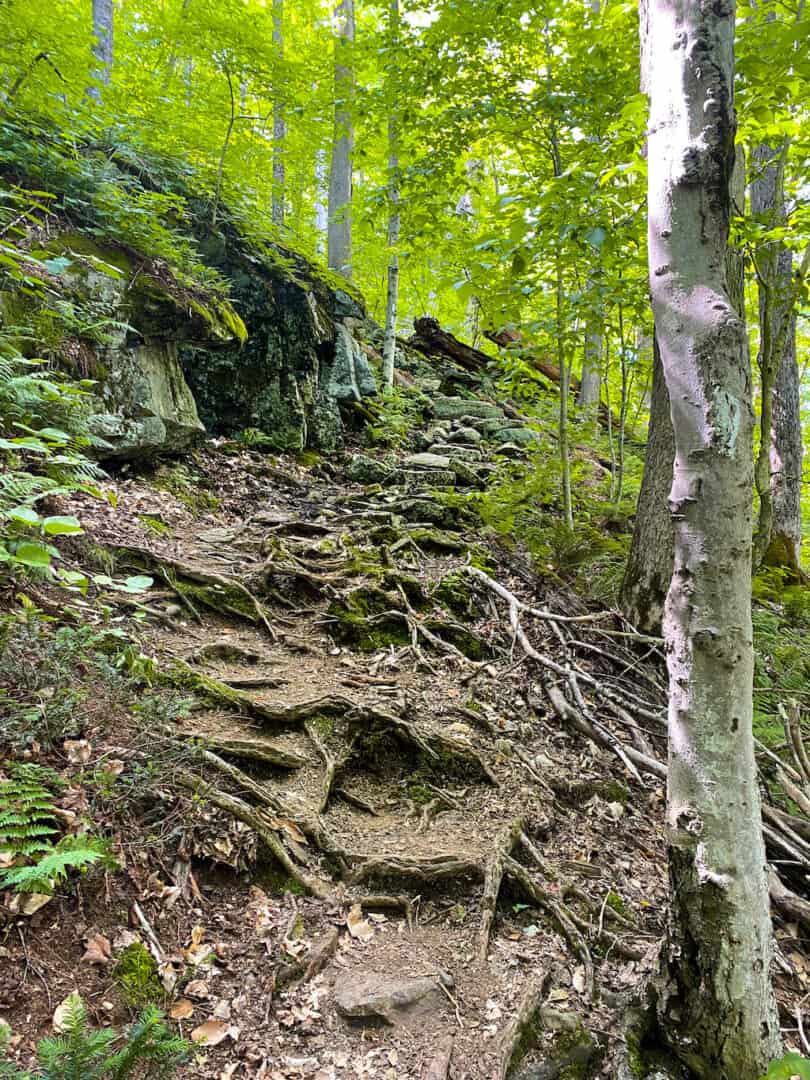 Hike to Beautiful Views on Harmon Hill in Woodford, Vermont