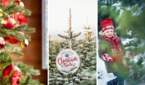 13 Beautiful Christmas Tree Farms in Vermont Where You Can Cut Your Own