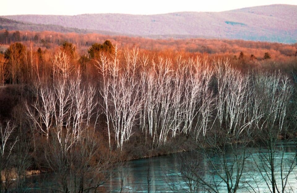 When is the Best Time to Visit Vermont? A Month-by-Month Guide