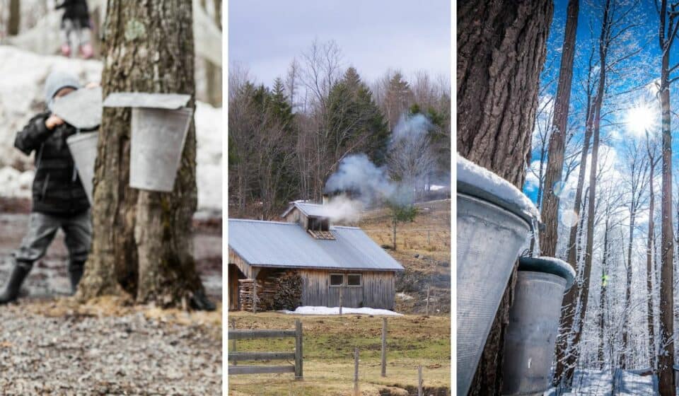 Visit These Vermont Sugar Shacks to Learn How Syrup is Made