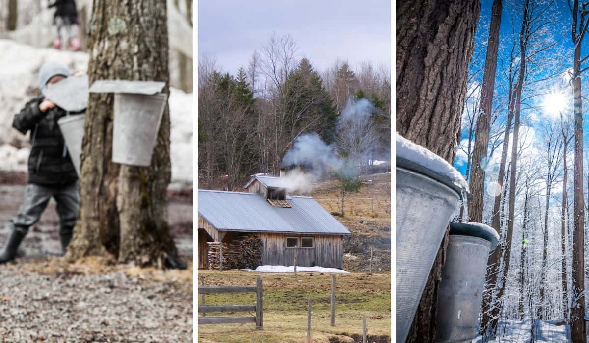 Visit These Vermont Sugar Shacks to Learn How Syrup is Made