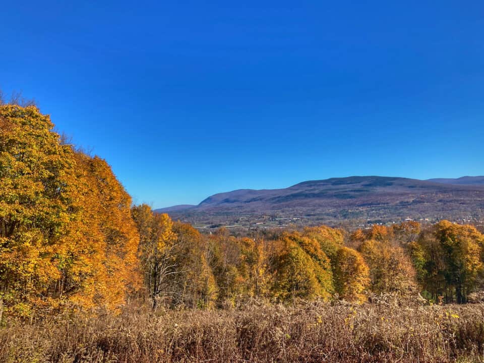 Plan a Fall Foliage Weekend in Bennington VT