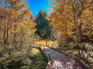 Explore Vermont Route 125 through the Green Mountain National Forest