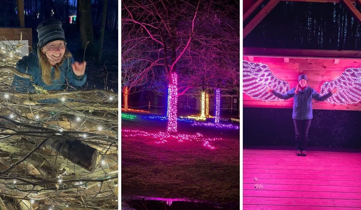 A Forest of Lights at VINS: A Winter Wonderland in Quechee, Vermont