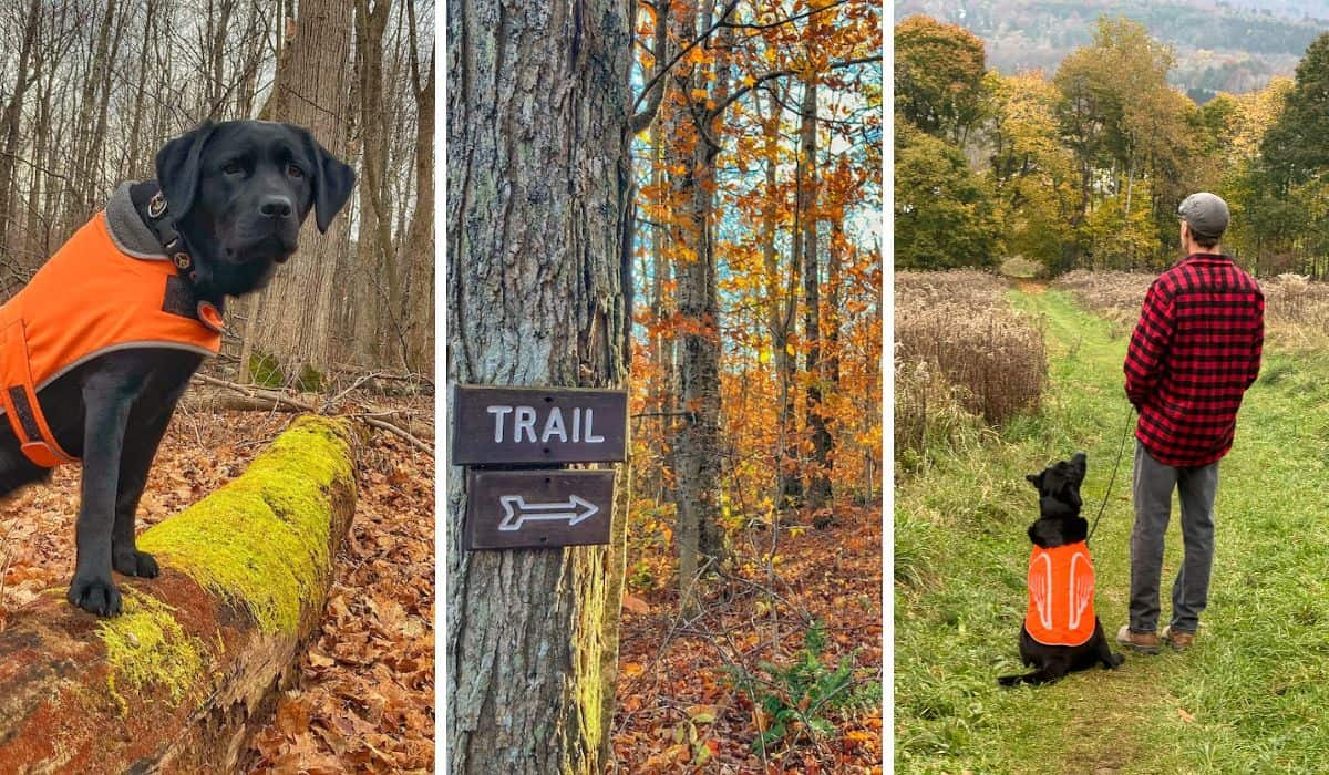 How to Hike During Hunting Season in Vermont